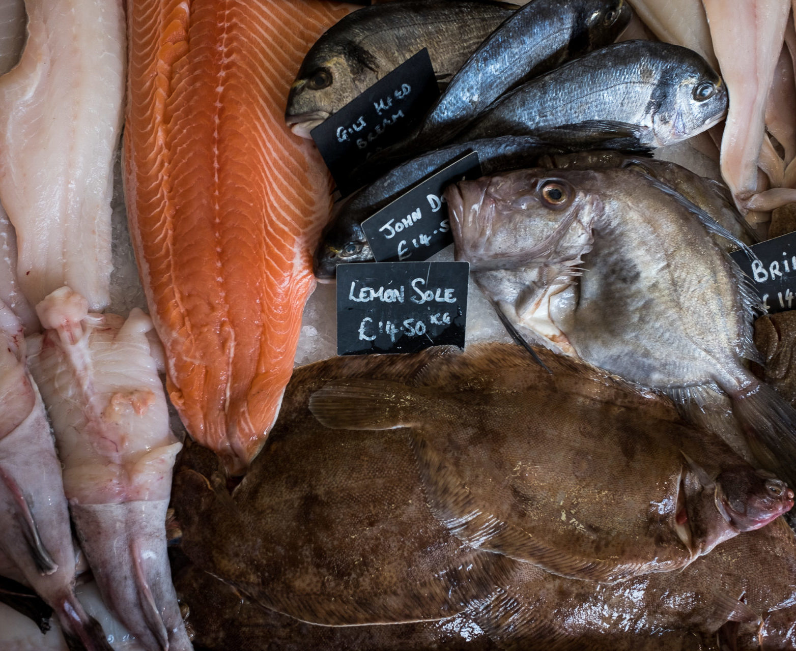 Wild Harbour Fish - Seafood Cornwall