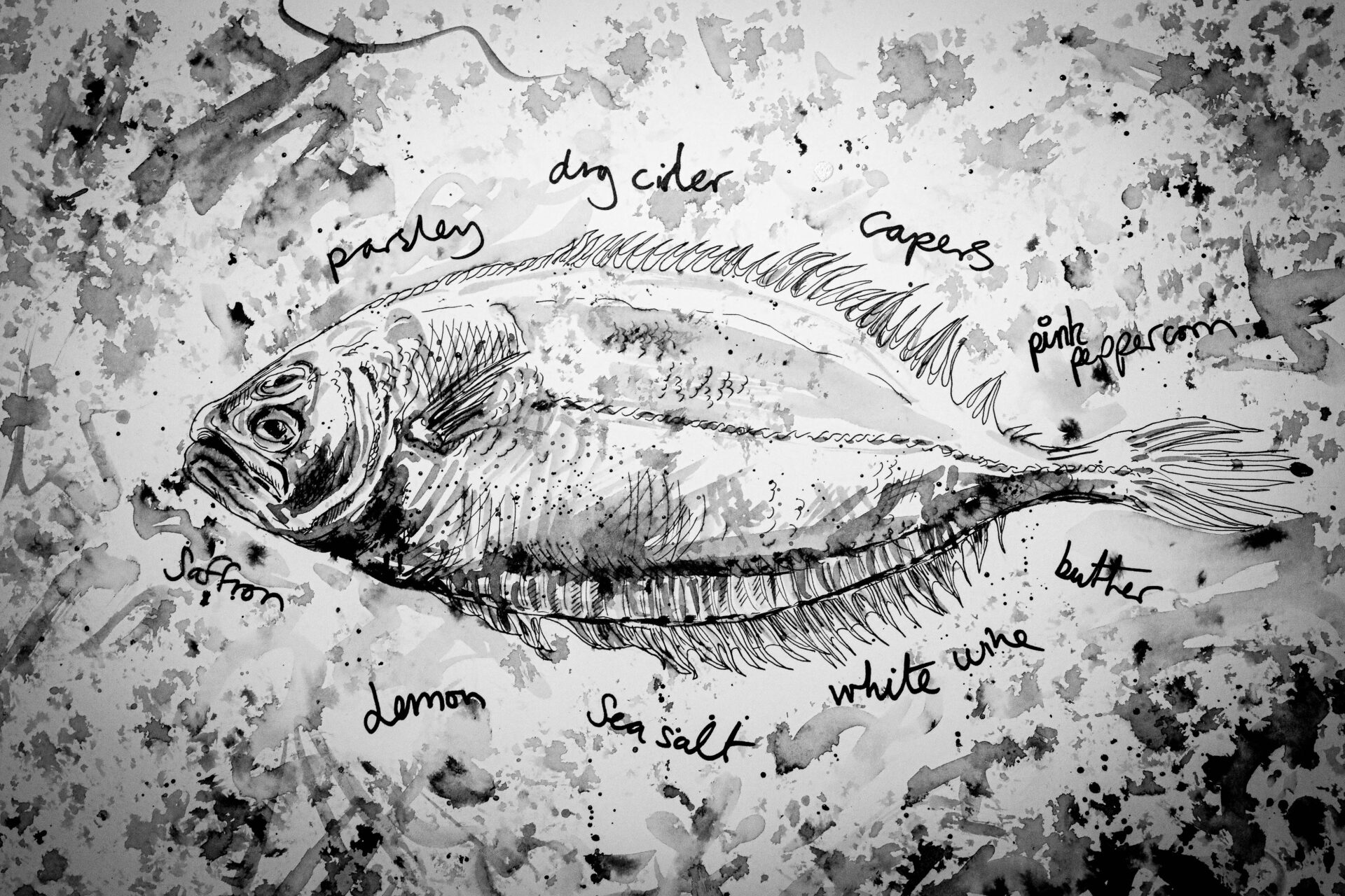 Unique consortium seeks to bring under-loved Cornish fish to British ...