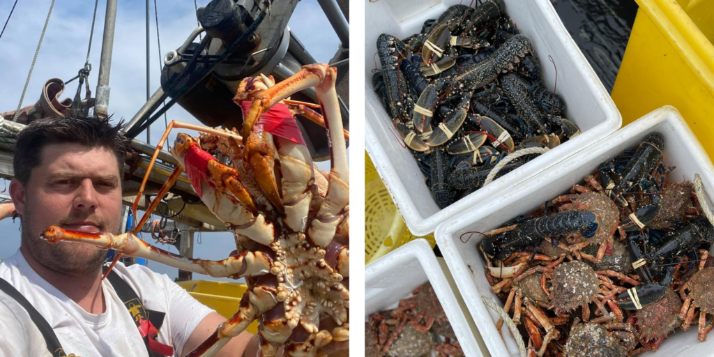 Tizzardlee-on Shellfish, Newquay - Seafood Cornwall